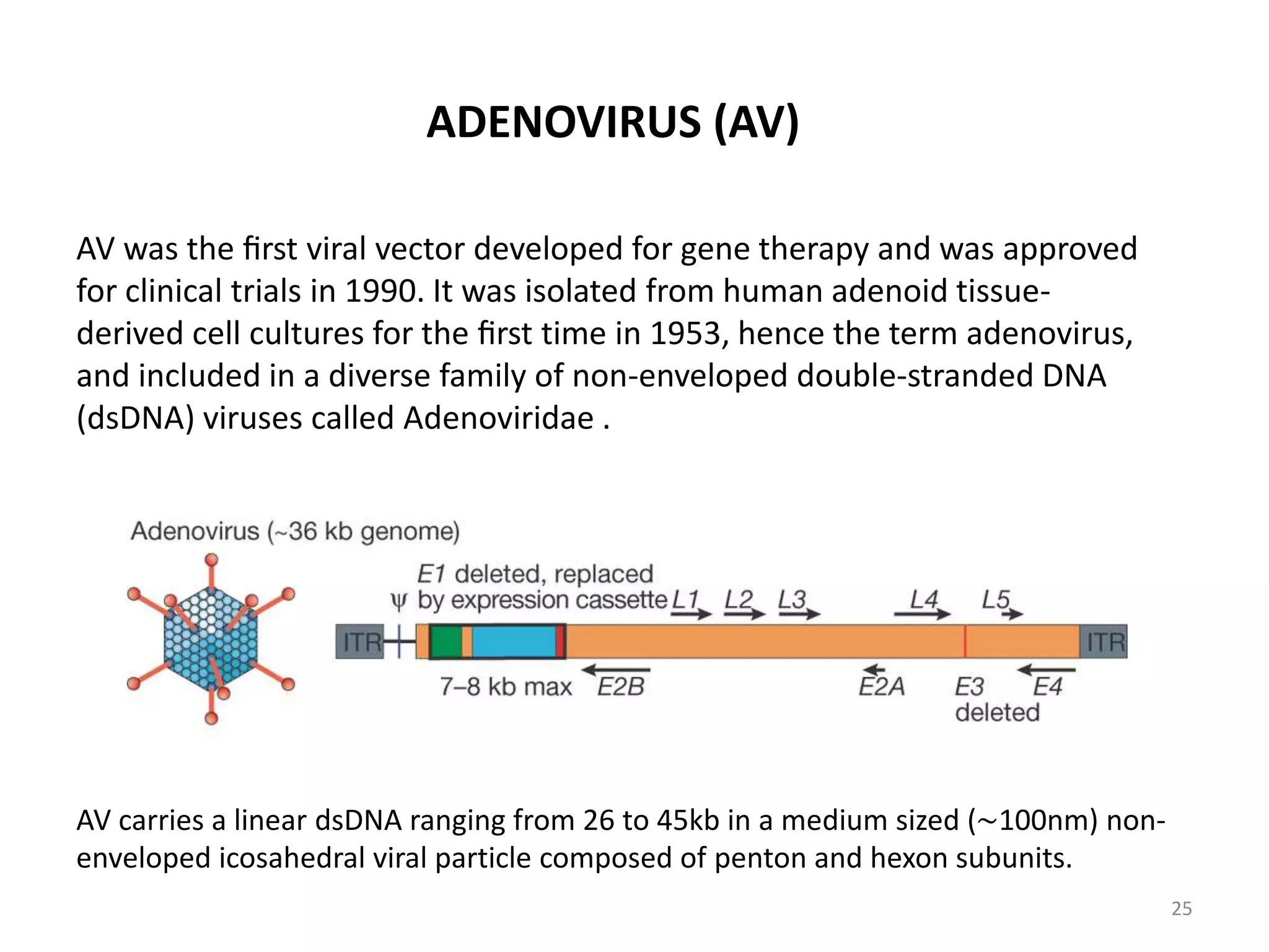 Gene therapy with viral and non viral vectors.pptx | Biological ...