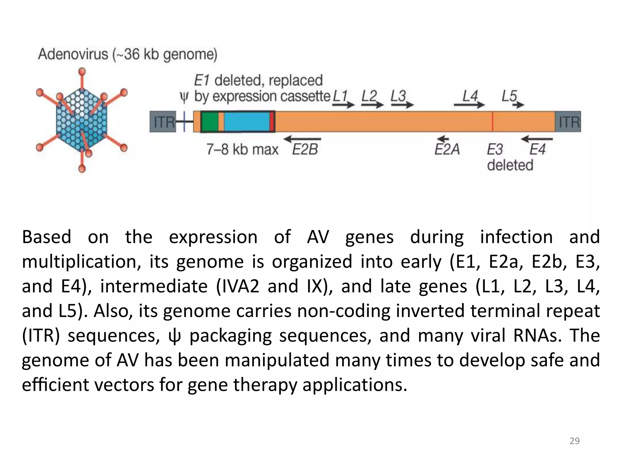Gene therapy with viral and non viral vectors.pptx