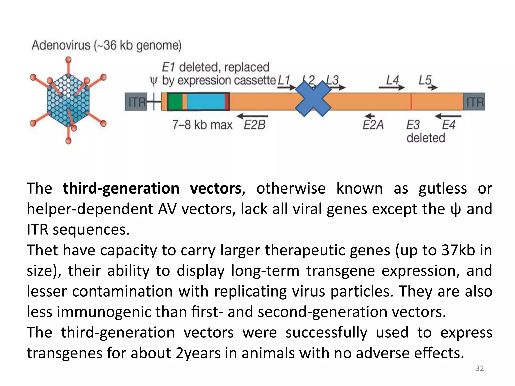 Gene therapy with viral and non viral vectors.pptx | Biological ...