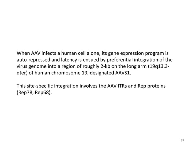 Gene therapy with viral and non viral vectors.pptx | Biological ...