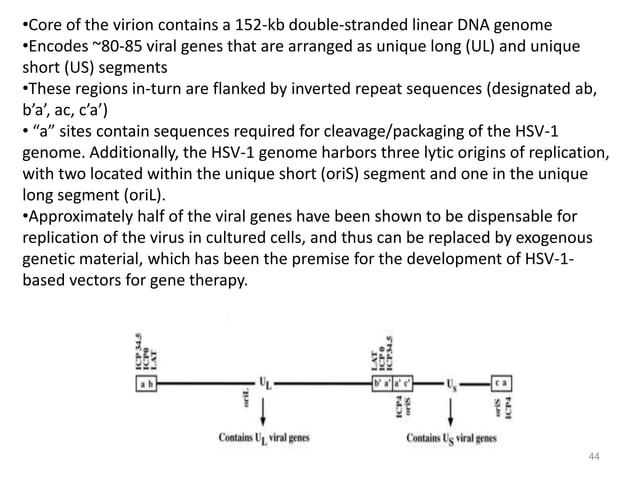 Gene therapy with viral and non viral vectors.pptx | Biological ...