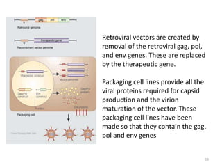 Gene therapy with viral and non viral vectors.pptx