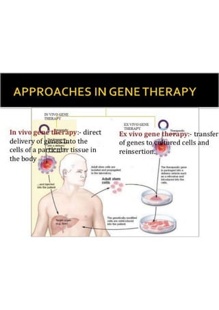 Gene thrapy | PDF | Genetics | Science