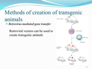 Genetic engineering in animal cells | PPTX
