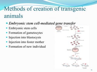 Genetic engineering in animal cells | PPTX