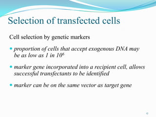 Genetic engineering in animal cells | PPTX