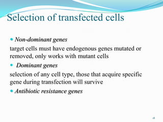 Genetic engineering in animal cells | PPTX