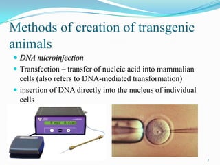 Genetic engineering in animal cells | PPTX
