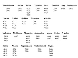 Genetic code 2081 | PPT