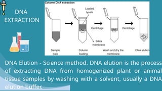 Genetic-Ekuutilkuitoliuoiungineering-2.pptx