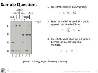 Genetic Engineering and Biotechnology | PPTX