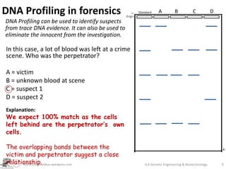 Genetic Engineering and Biotechnology | PPTX