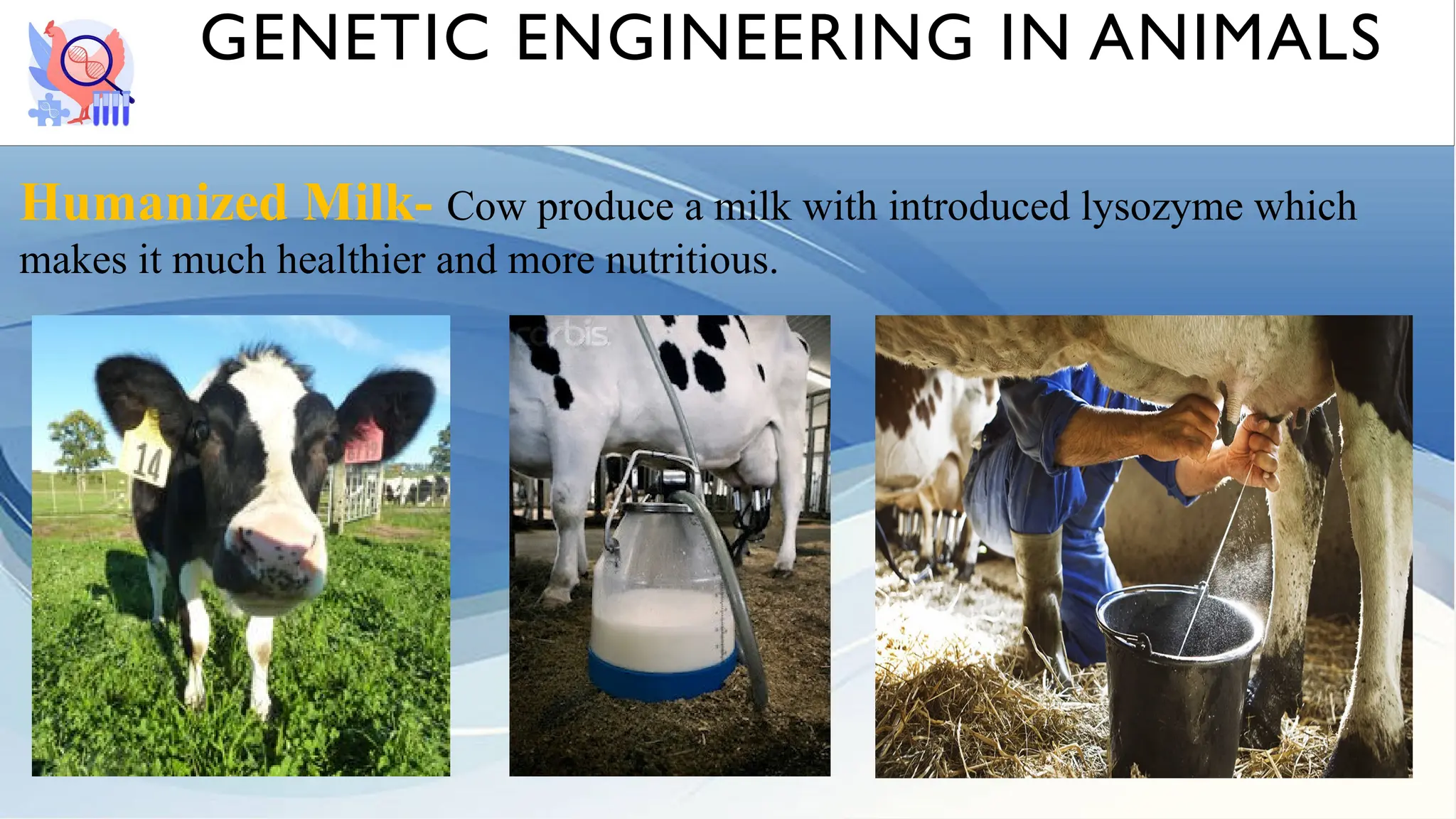 genetic-engineering chemistry -ppt.pptx
