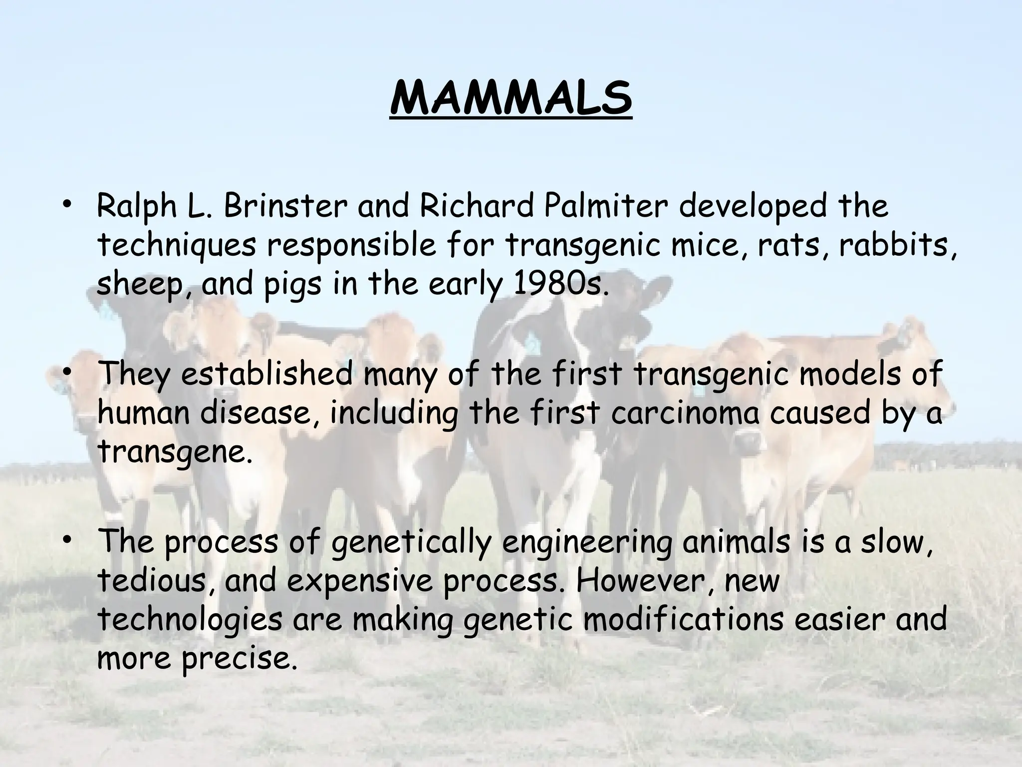 Genetic Engineering for Grade 11 Earth and Life Science Class Quart | PPTX