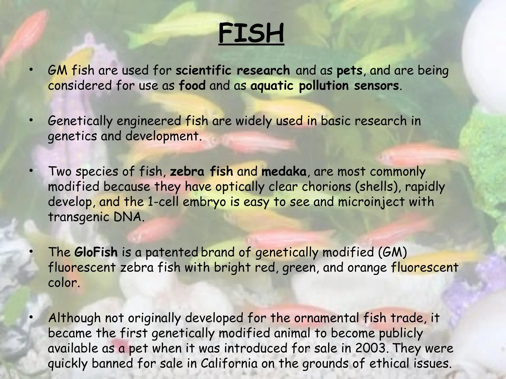 Genetic Engineering for Grade 11 Earth and Life Science Class Quart | PPTX
