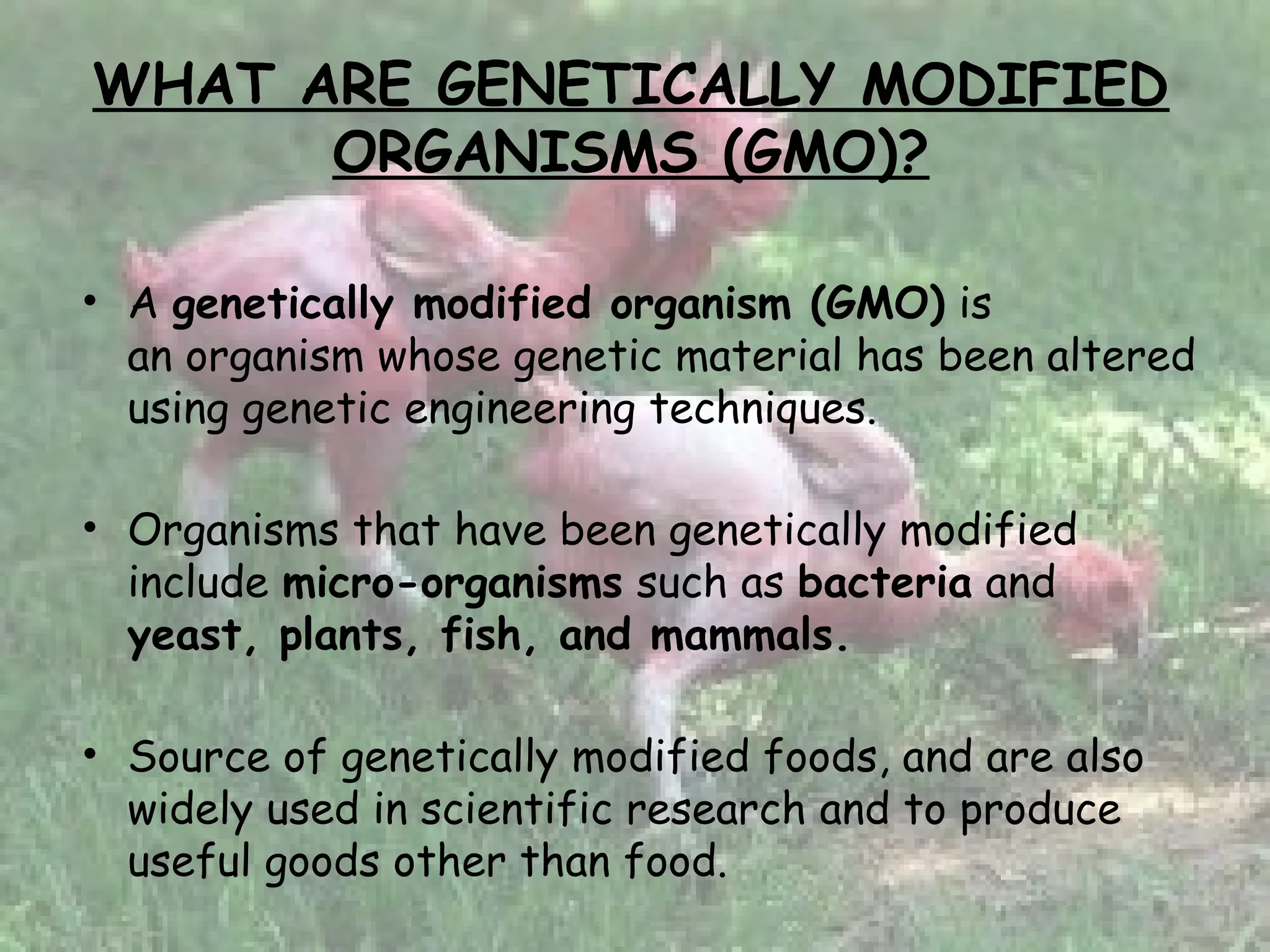 Genetic Engineering for Grade 11 Earth and Life Science Class Quart | PPTX