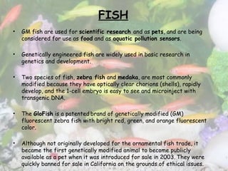 Genetic Engineering for Grade 11 Earth and Life Science Class Quart | PPTX