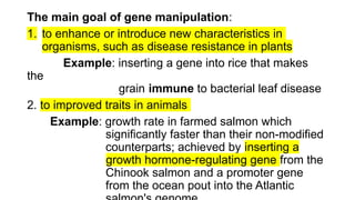Genetic-Manipulation-GC.pptxYASYASYASYAYSYAYS | PPT