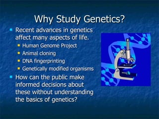 Genetic Misconceptions Presentation | PPT
