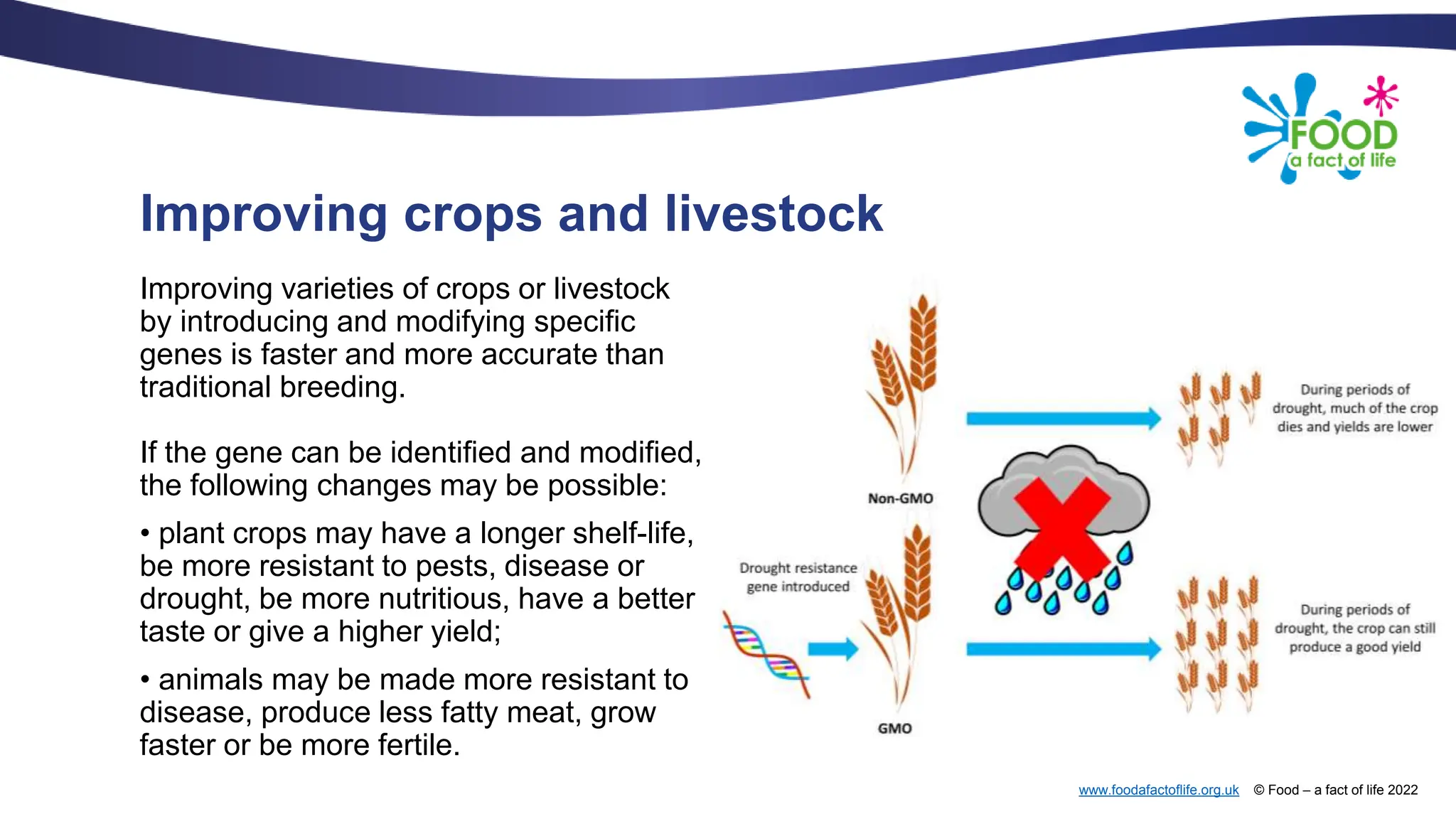 genetic-modification-and-gene-editing-ppt-1416wfcf.pptx