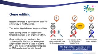 genetic-modification-and-gene-editing-ppt-1416wfcf.pptx
