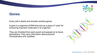 genetic-modification-and-gene-editing-ppt-1416wfcf.pptx