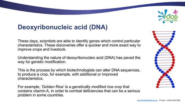 genetic-modification-and-gene-editing-ppt-1416wfcf.pptx