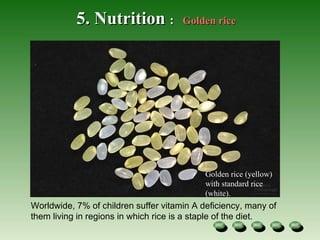 Genetic Modified Crops | PPT