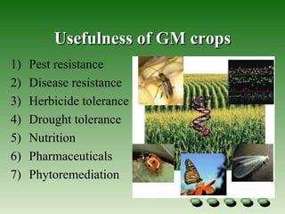 Genetic Modified Crops | PPT