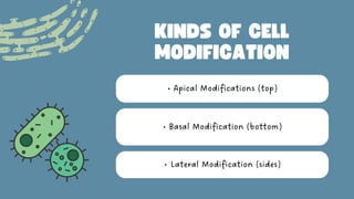 Genetic-Mutations-Science-Presentation-in-Blue-Orange-Flat-Graphic ...
