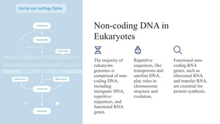 Genetic-Organization-of-Eukaryotic-Cells.pptx