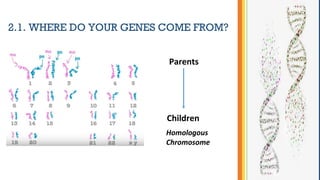 Genetic 101 | PPT