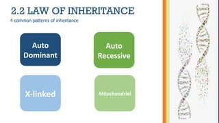Genetic - basic knowledge for dummies about Genetic | PPTX | Genetics ...
