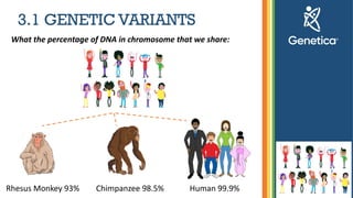 Genetic - basic knowledge for dummies about Genetic | PPTX | Genetics ...