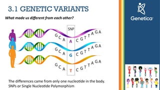 Genetic - basic knowledge for dummies about Genetic | PPTX | Genetics ...
