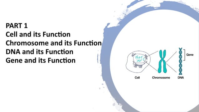 Genetic - basic knowledge for dummies about Genetic | PPT
