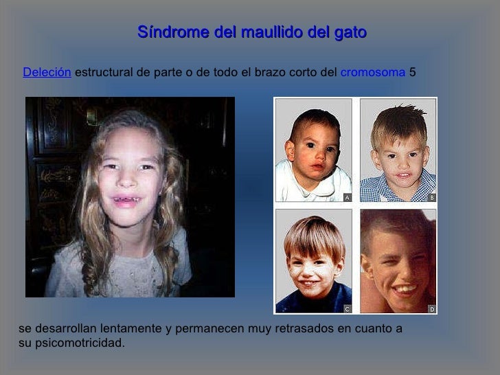 Genetica
