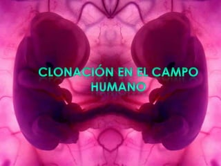 Genetica : CLONACION HUMANA :) | PPTX