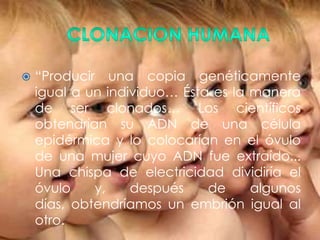 Genetica : CLONACION HUMANA :) | PPTX