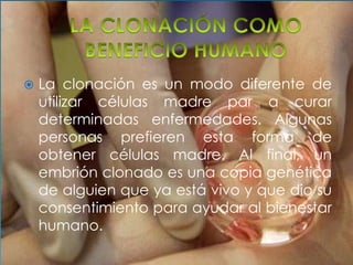 Genetica : CLONACION HUMANA :) | PPTX