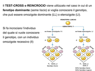 Genetica | PPTX