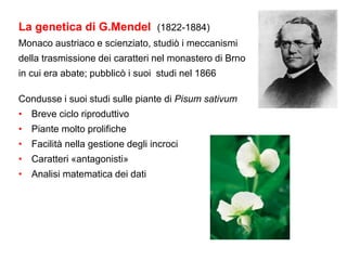 Genetica | PPT