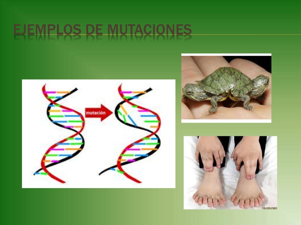 Genetica. mutaciones