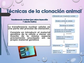 Genetica (CLONACIÓN) | PPTX