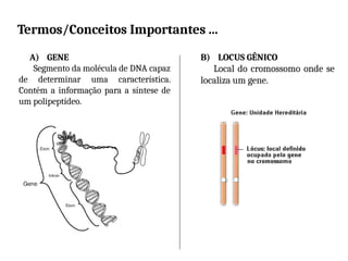 GENETICA - 1º LEI DE MENDEL - Biologia.pptx