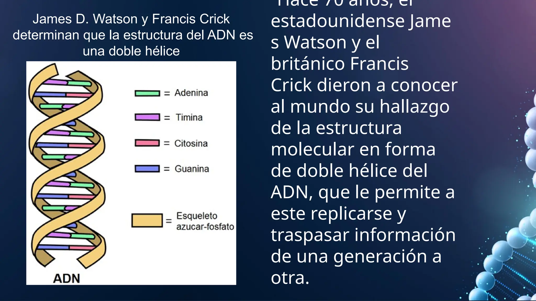 Teoria de la genetica en biologia .pptx