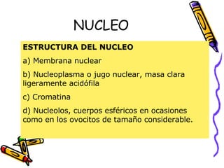 Genetica Celular | PPT