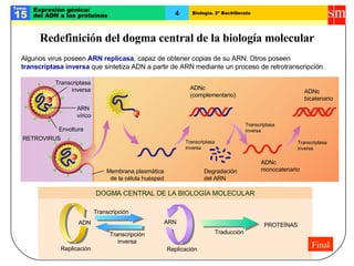 Genetica Molecular | PPT