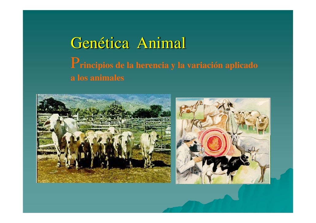 Genetica%20animal,%20concepto
