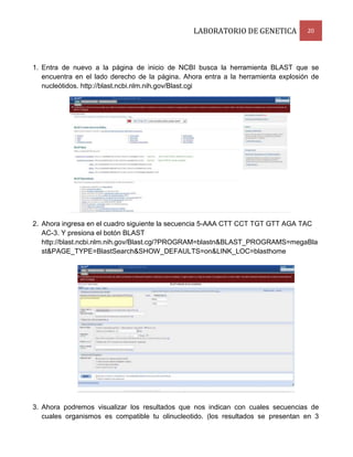 Genetica bioinformatica | DOCX
